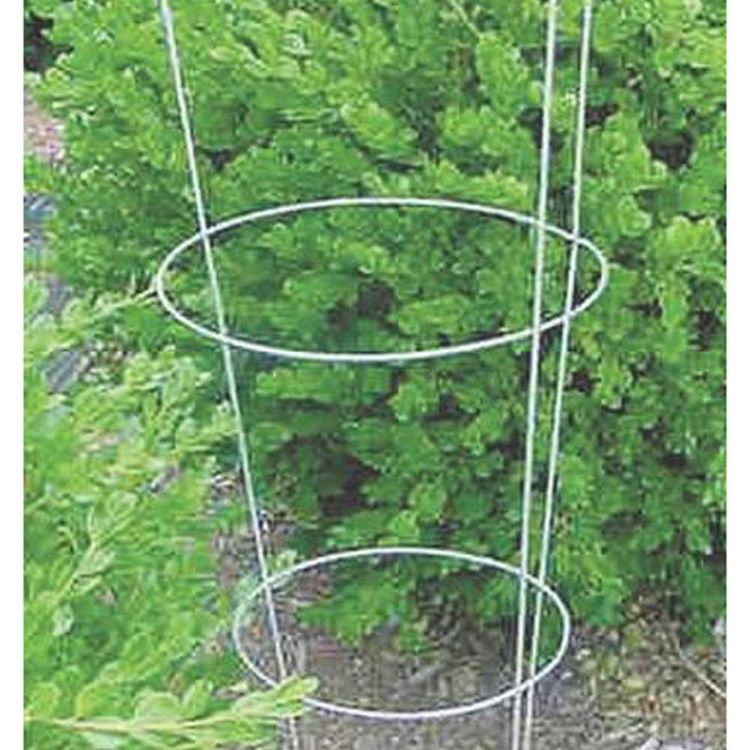 Glamos Wire 701002 Tomato Cage, 12" W x 33" H x 11 ga T, Steel